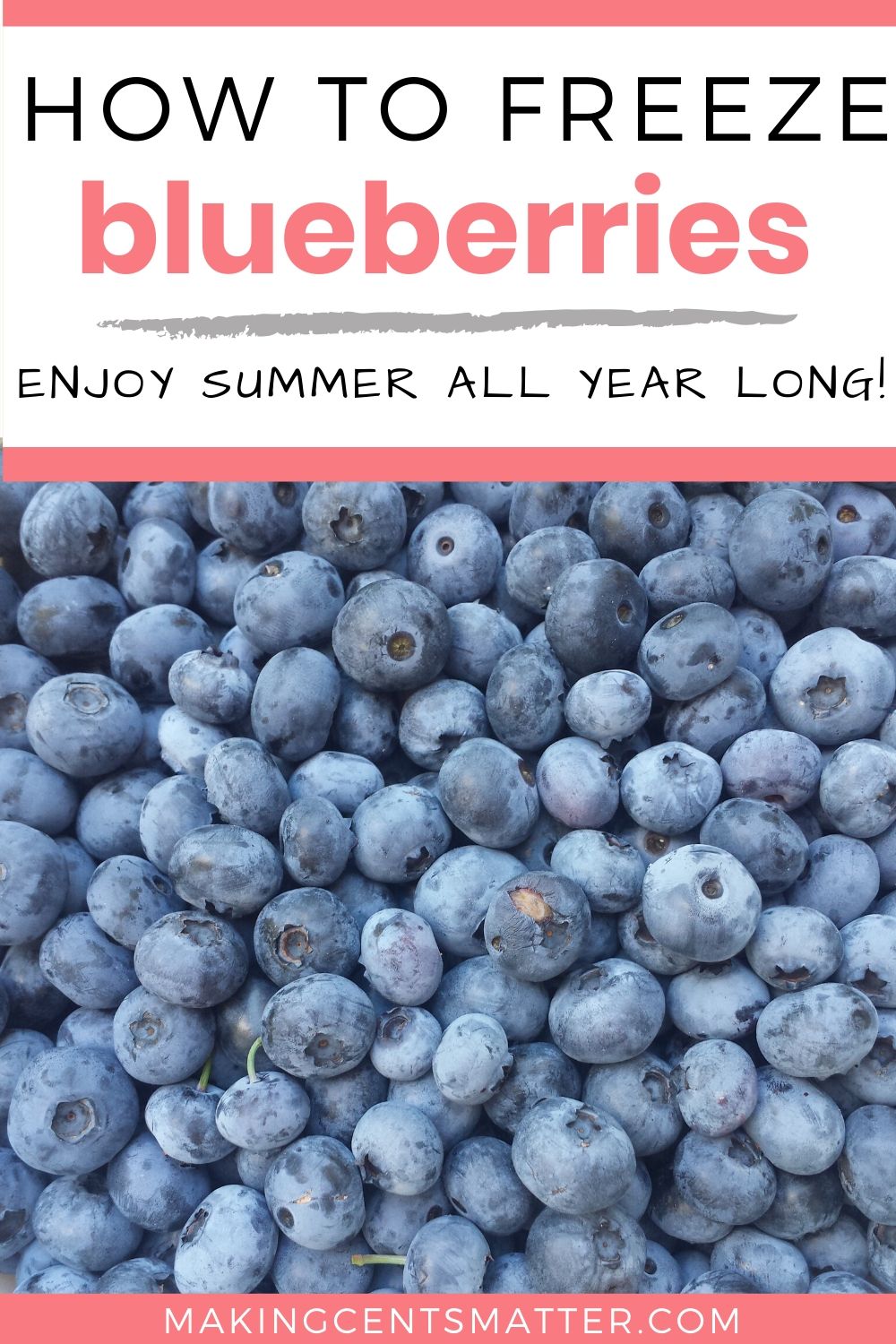How To Freeze Fresh Blueberries - Making Cents Matter