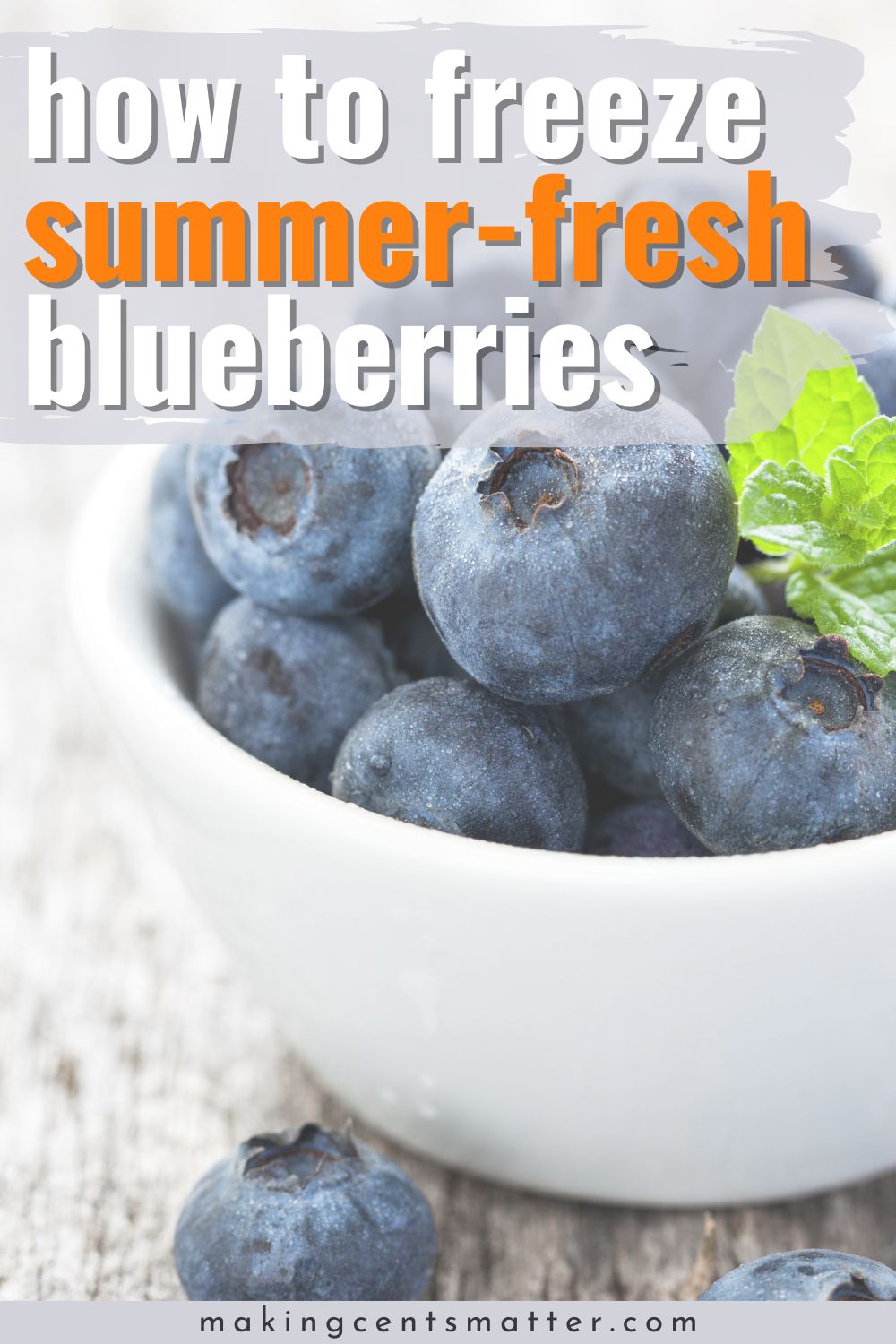 How To Freeze Fresh Blueberries - Making Cents Matter