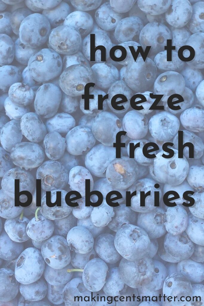 How To Freeze Fresh Blueberries - Making Cents Matter