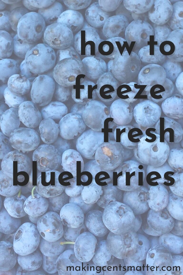 How To Freeze Fresh Blueberries - Making Cents Matter